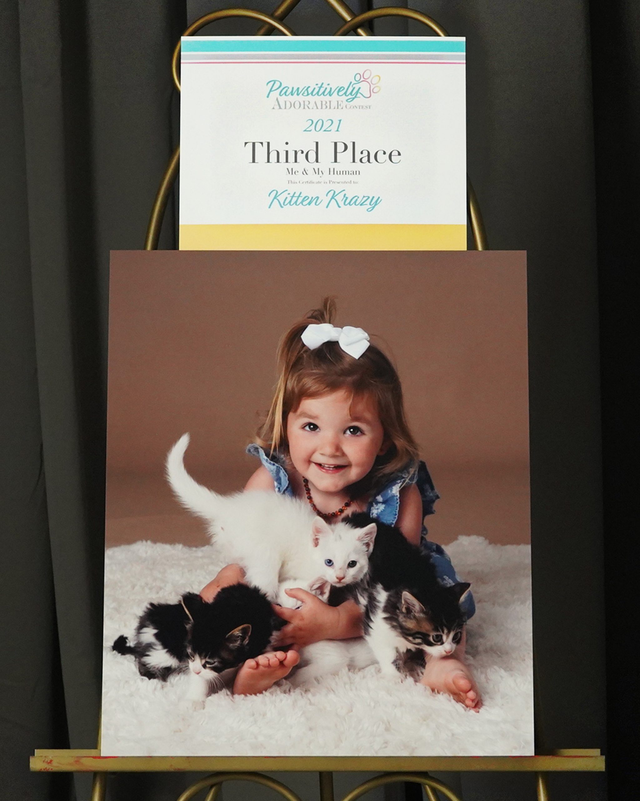 Pet Photo Contest - Spring Edition - Charleen's Portrait Studio